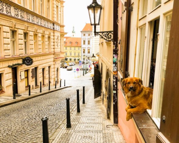 Exploring Prague’s underground: Unveiling hidden tunnels and secrets ... Exploring Prague’s underground: Unveiling hidden tunnels and secrets ...